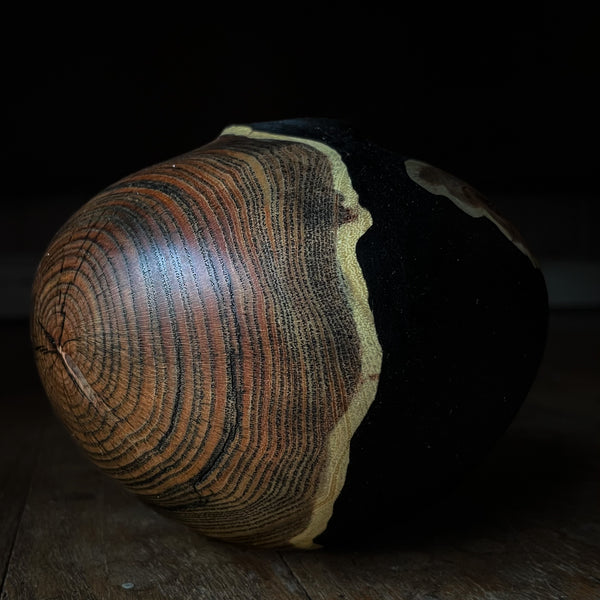 Natural Selection Studio