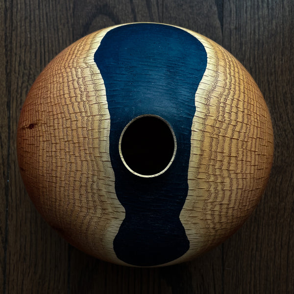 Natural Selection Studio